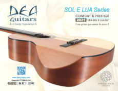 Official Site - DEA Guitars