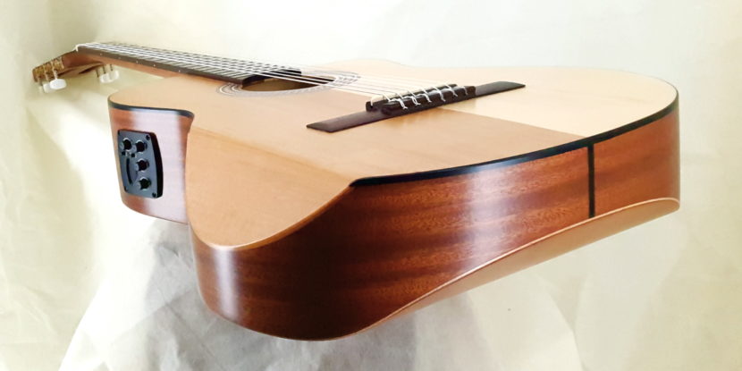 Official Site - DEA Guitars